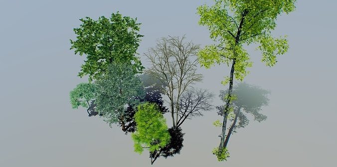 tree pack 02 - free free 3D model | CGTrader