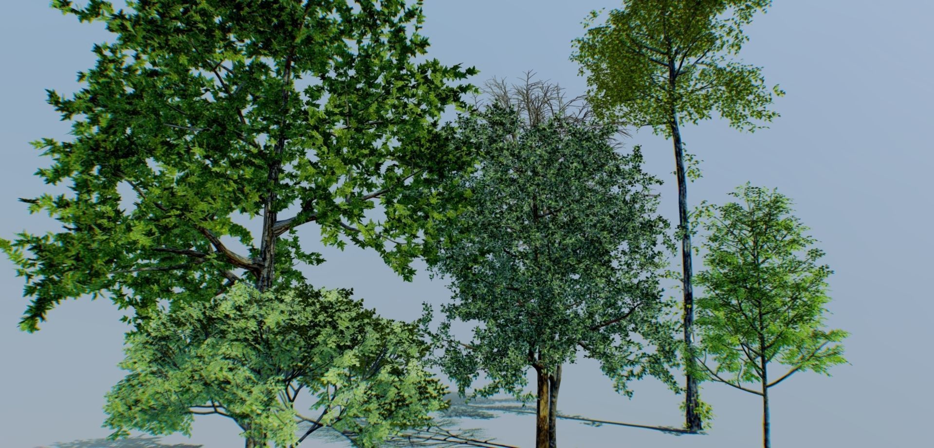 tree pack 02 - free free 3D model | CGTrader