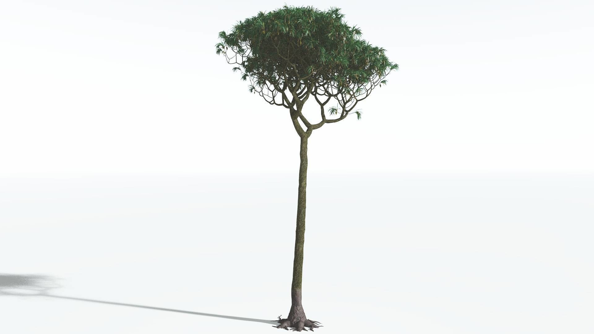 EVERYPlant Lepidodendron Scale Tree 4 --14 Models-- 3D model | CGTrader