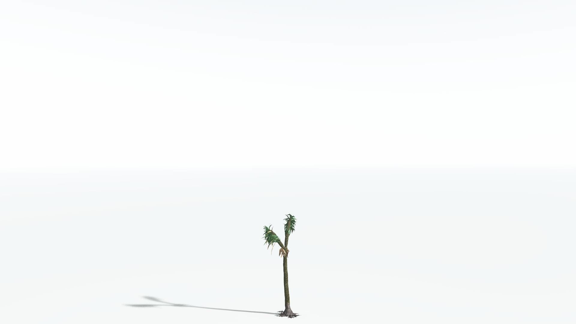 EVERYPlant Lepidodendron Scale Tree 4 --14 Models-- 3D model | CGTrader