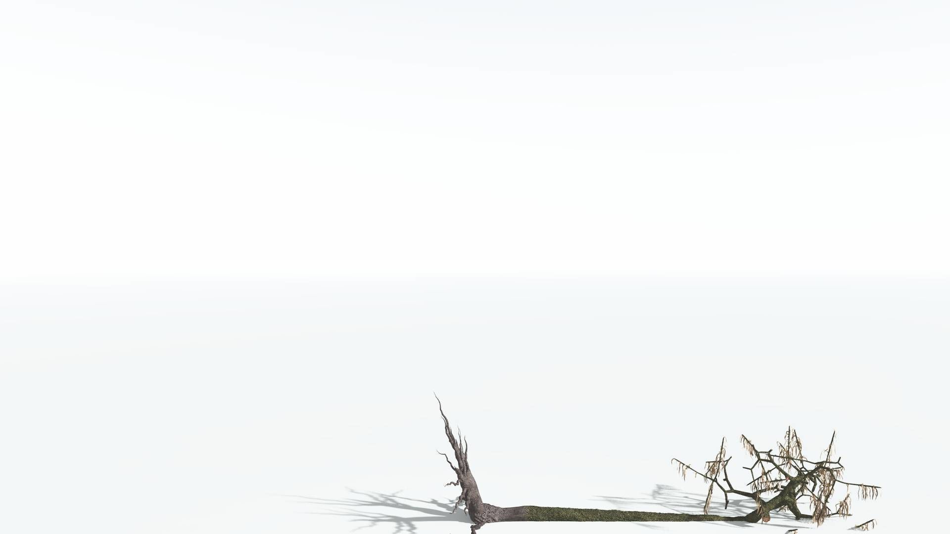 EVERYPlant Lepidodendron Scale Tree 4 --14 Models-- 3D model | CGTrader