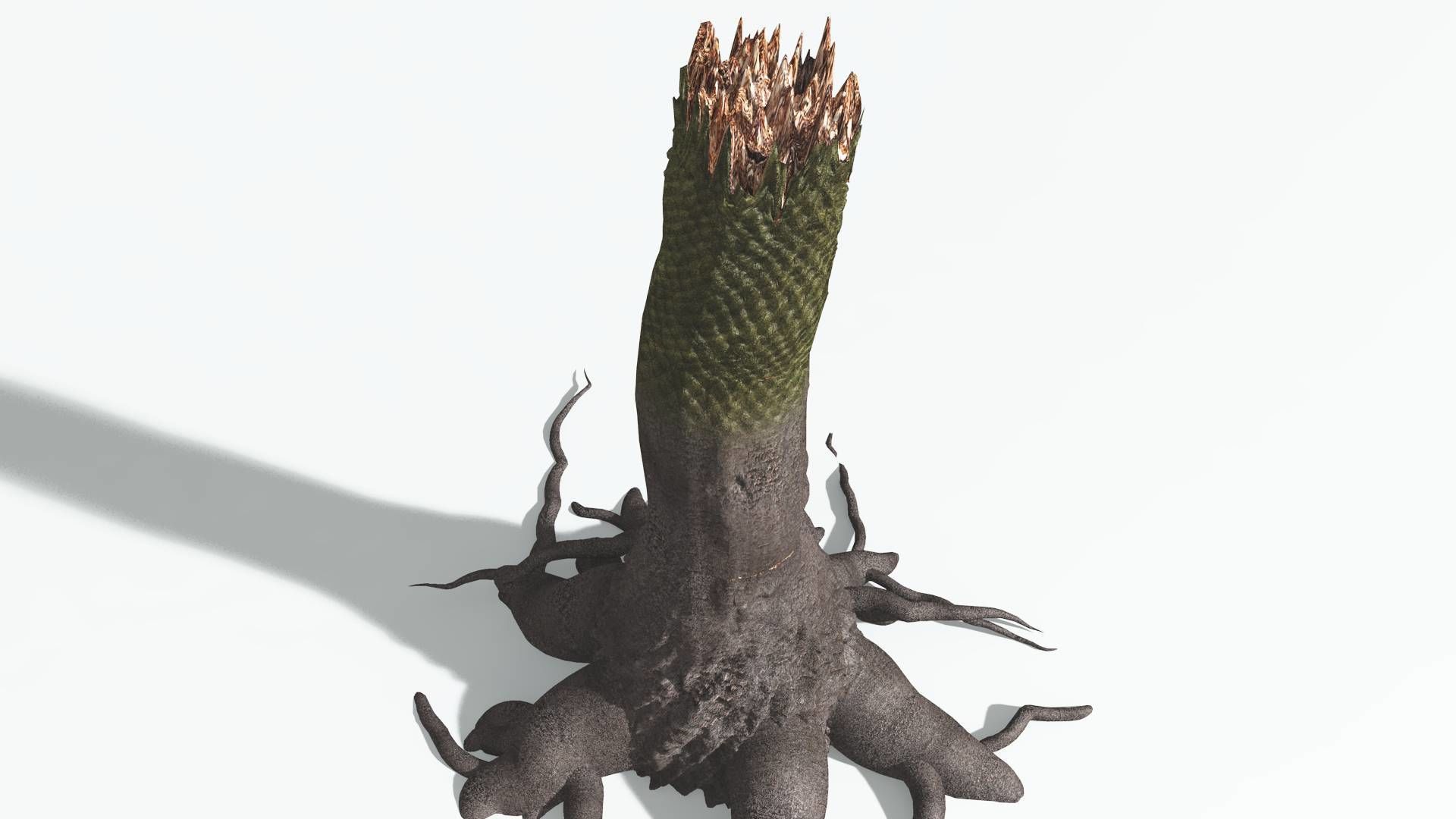 EVERYPlant Lepidodendron Scale Tree 4 --14 Models-- 3D model | CGTrader