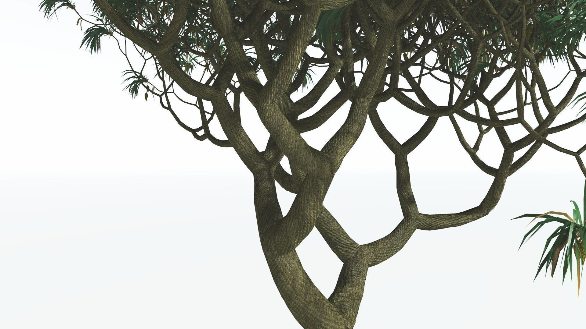 EVERYPlant Lepidodendron Scale Tree 4 --14 Models-- 3D model | CGTrader
