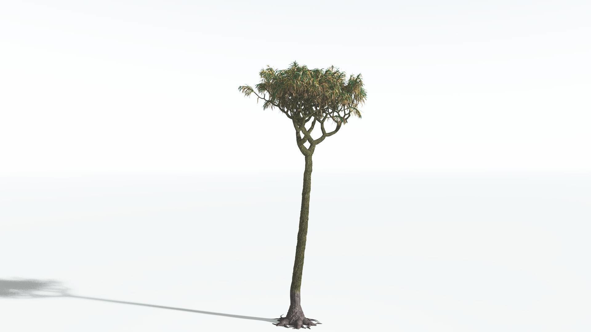 EVERYPlant Lepidodendron Scale Tree 4 --14 Models-- 3D model | CGTrader