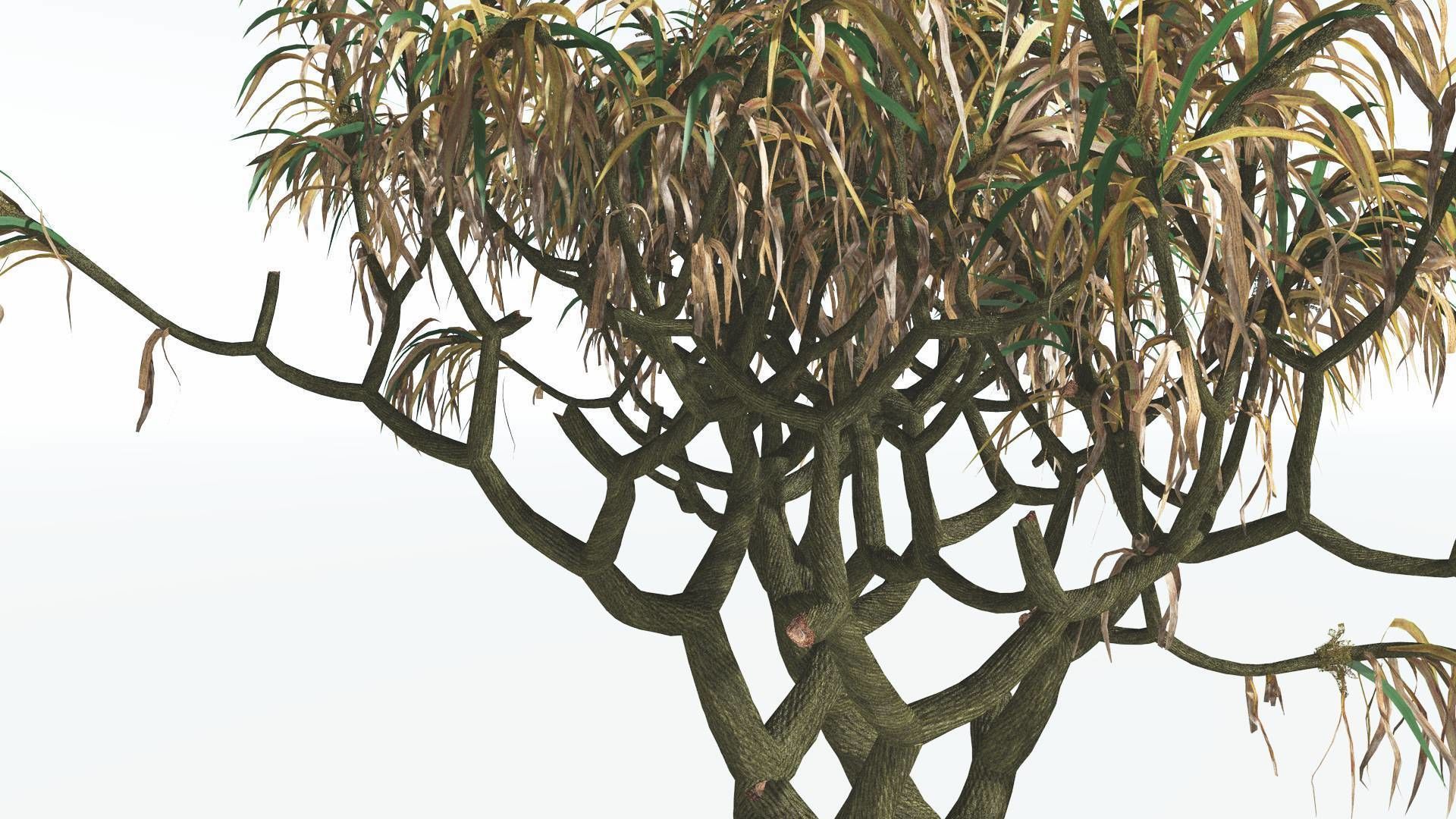 EVERYPlant Lepidodendron Scale Tree 4 --14 Models-- 3D model | CGTrader