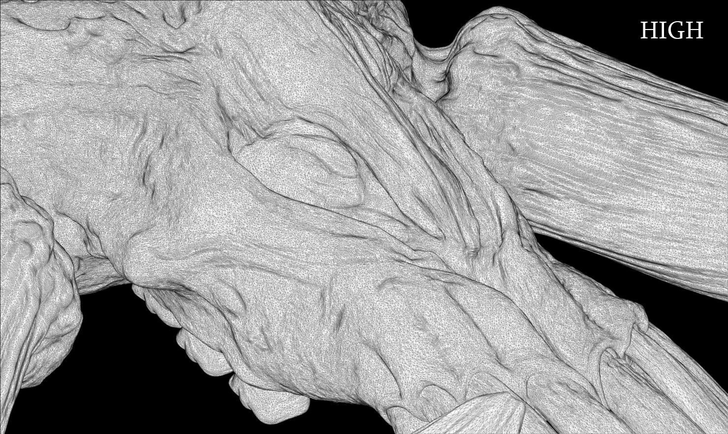 3D PRINTABLE MYTHOSAUR SKULL SORGAN FROG WALKING THE MANDALORIAN 3D ...