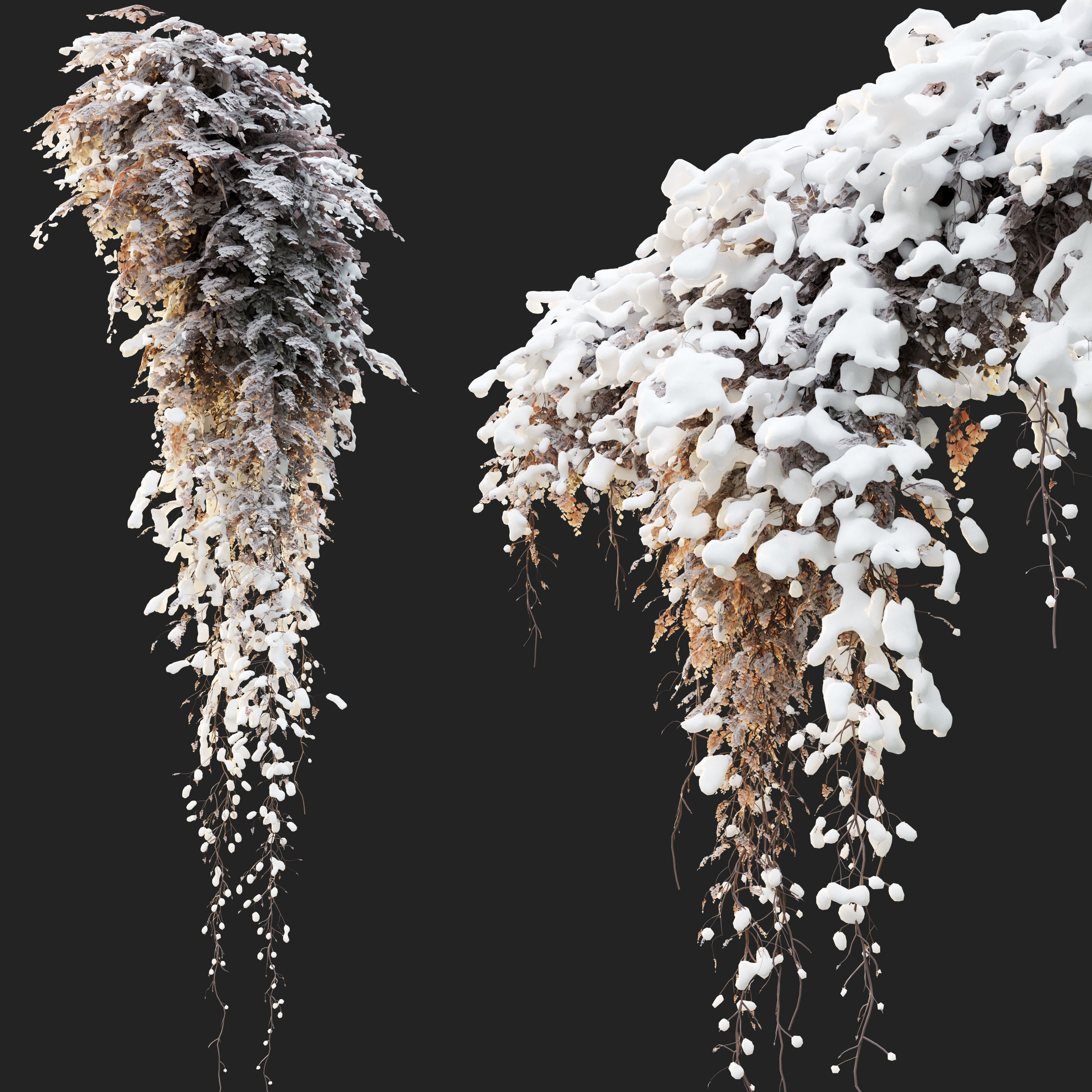 Hanging plant 40 3D model | CGTrader