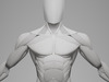 Stylized Male Muscle Anatomy Reference Model 3D model | CGTrader