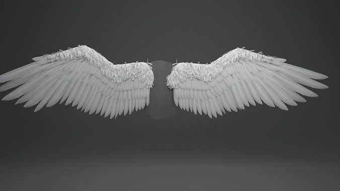 Angel Wings 3D model animated rigged | CGTrader
