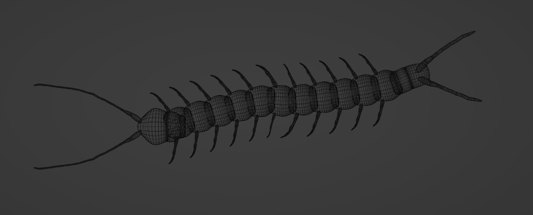 Millipede Arthropod Insect free VR / AR / low-poly 3D model animated rigged | CGTrader