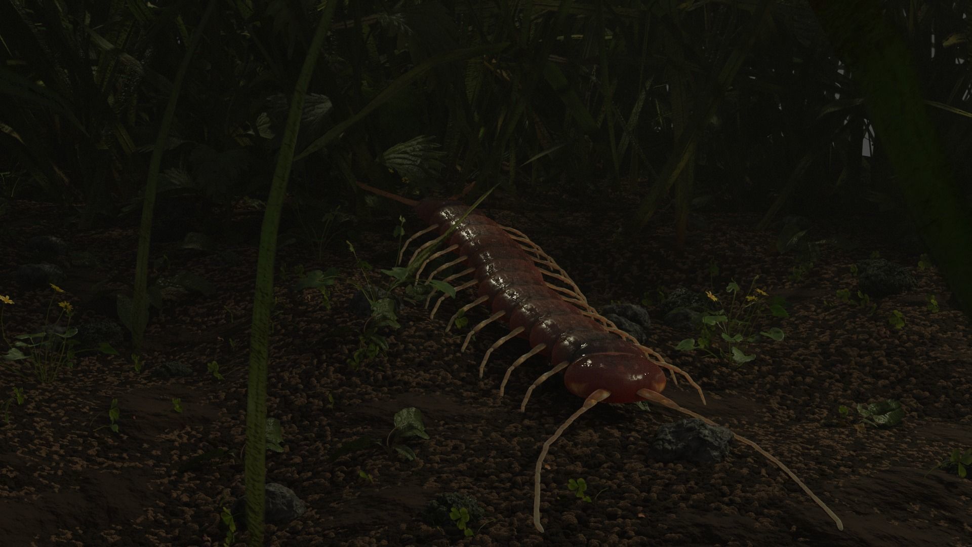 Millipede Arthropod Insect free VR / AR / low-poly 3D model animated ...