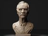 Bust of an Old Cowboy free 3D model 3D printable | CGTrader