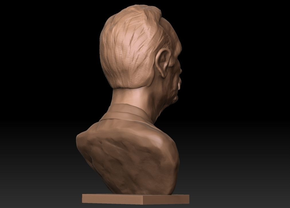 Bust of an Old Cowboy free 3D model 3D printable | CGTrader