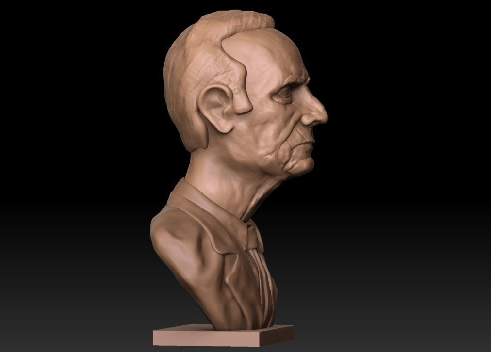 Bust of an Old Cowboy free 3D model 3D printable | CGTrader