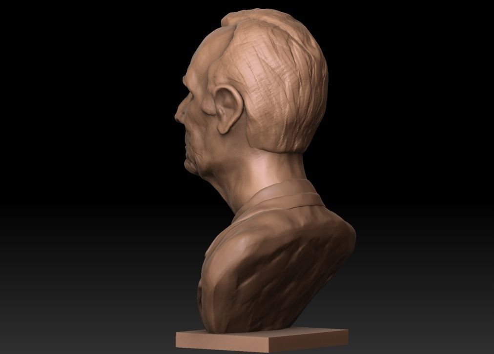 Bust of an Old Cowboy free 3D model 3D printable | CGTrader