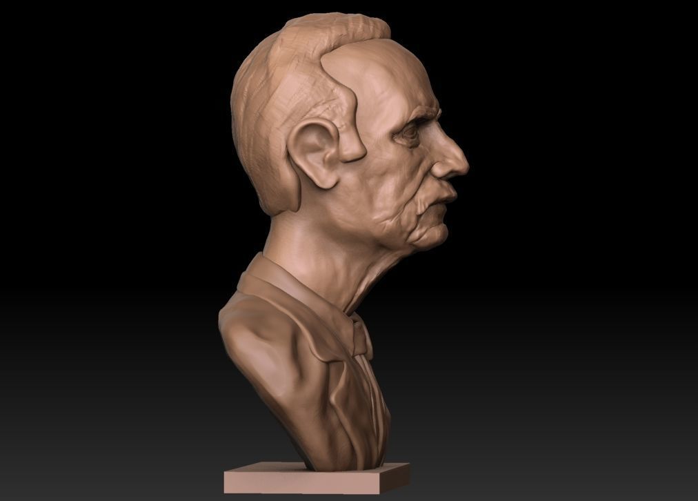 Bust of an Old Cowboy free 3D model 3D printable | CGTrader