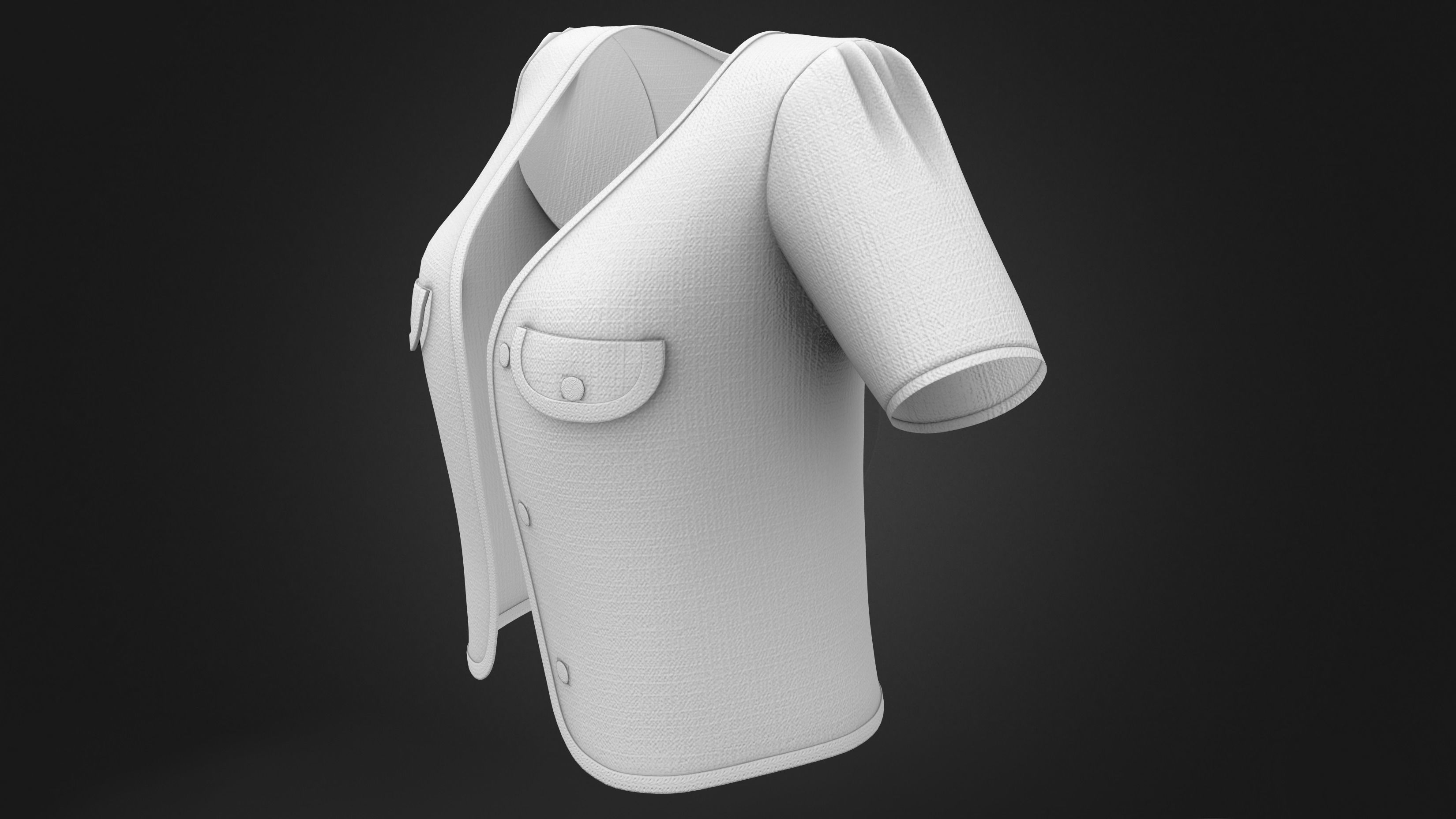 3D model Flap Detail Puff Sleeve Jacket VR / AR / low-poly | CGTrader