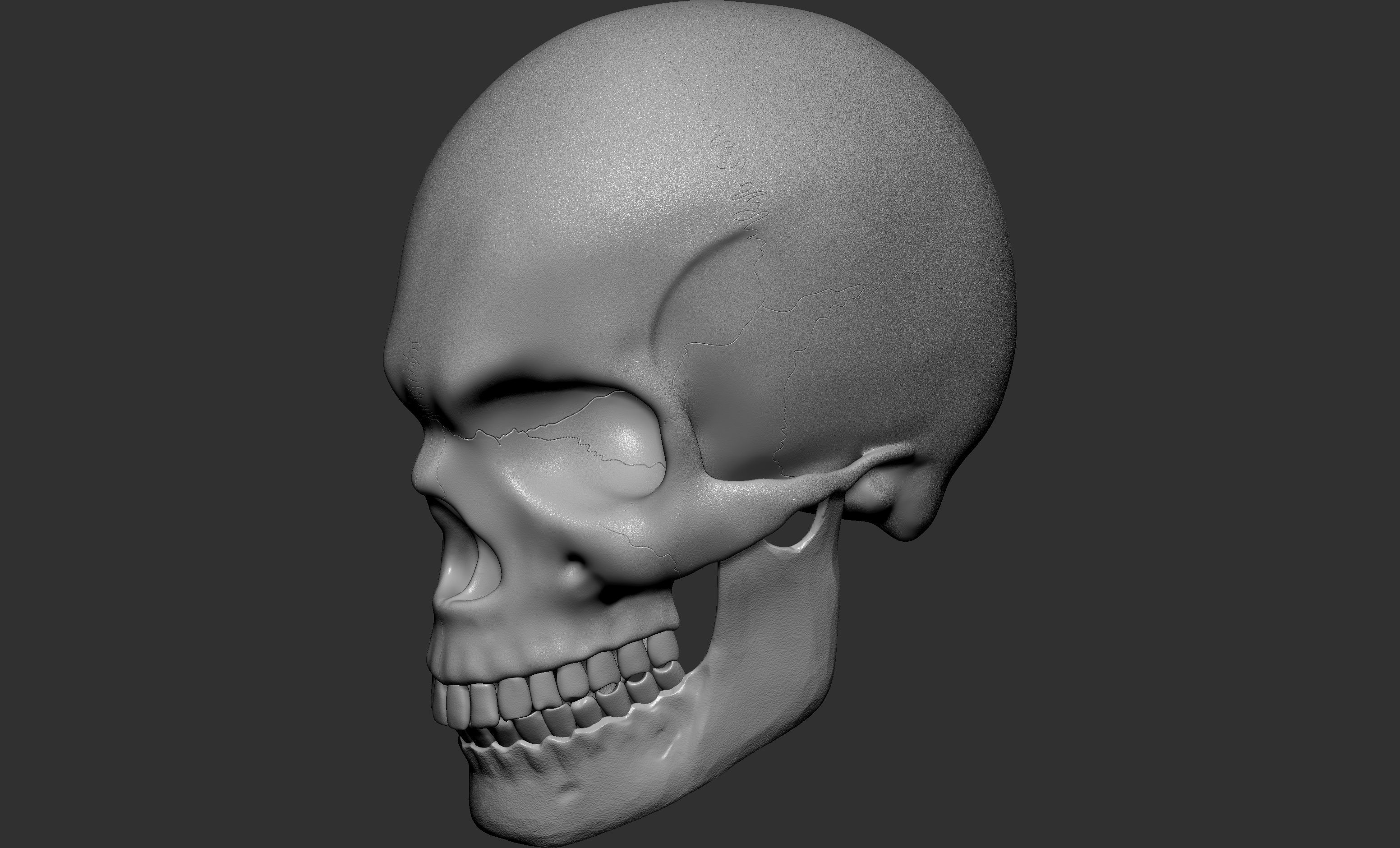 Skull structure 3D model | CGTrader