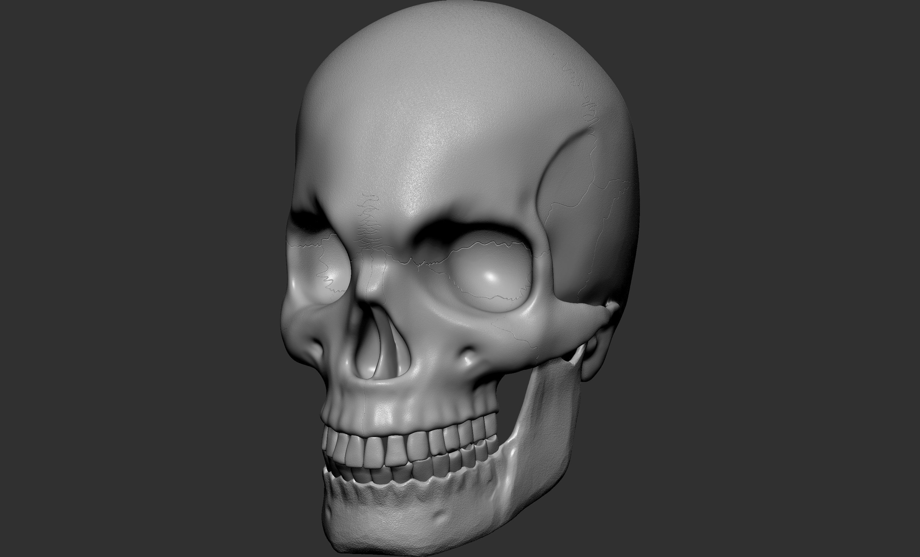 Skull structure 3D model | CGTrader