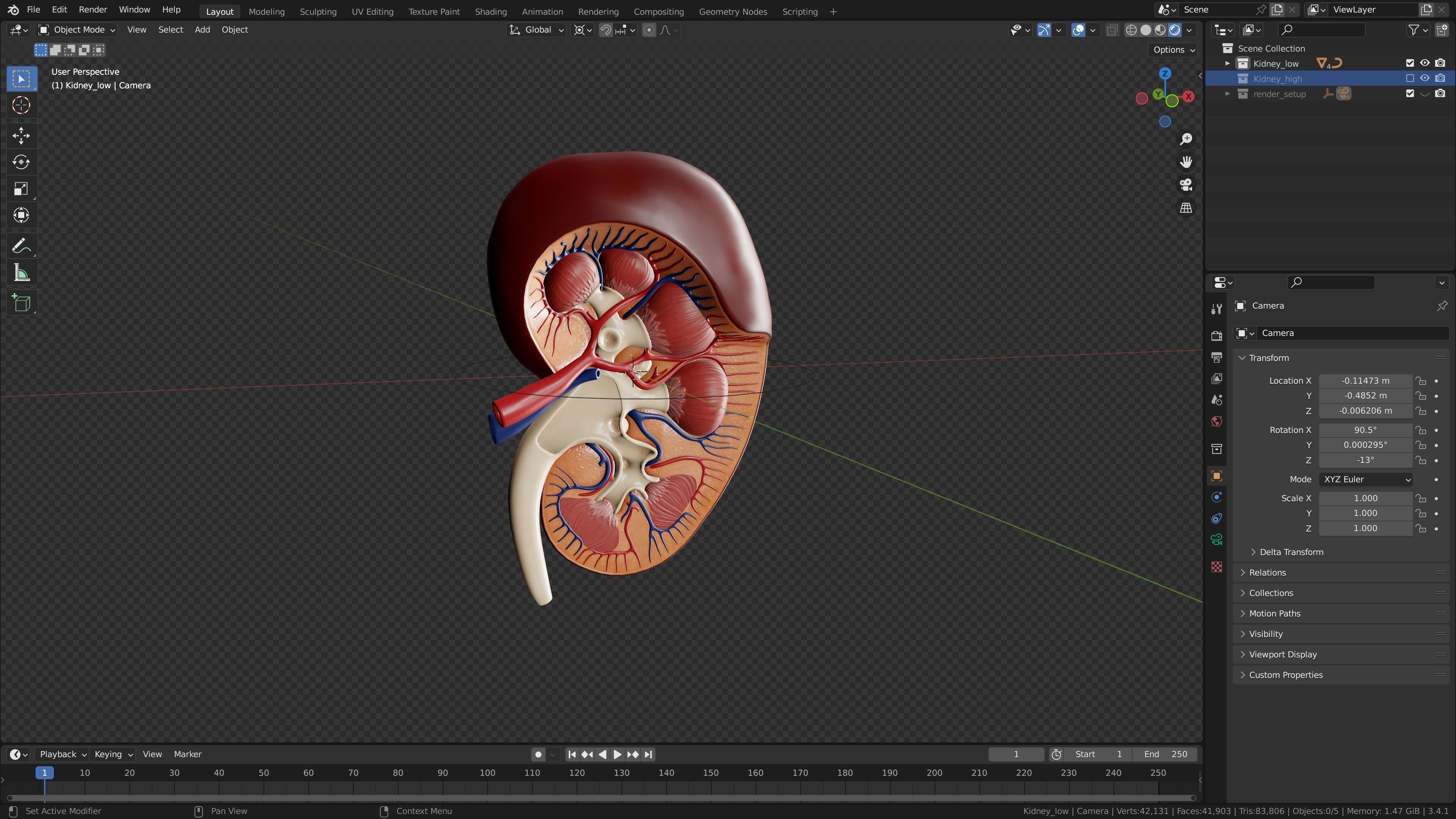 Professional human kidney 3D model 3D model | CGTrader