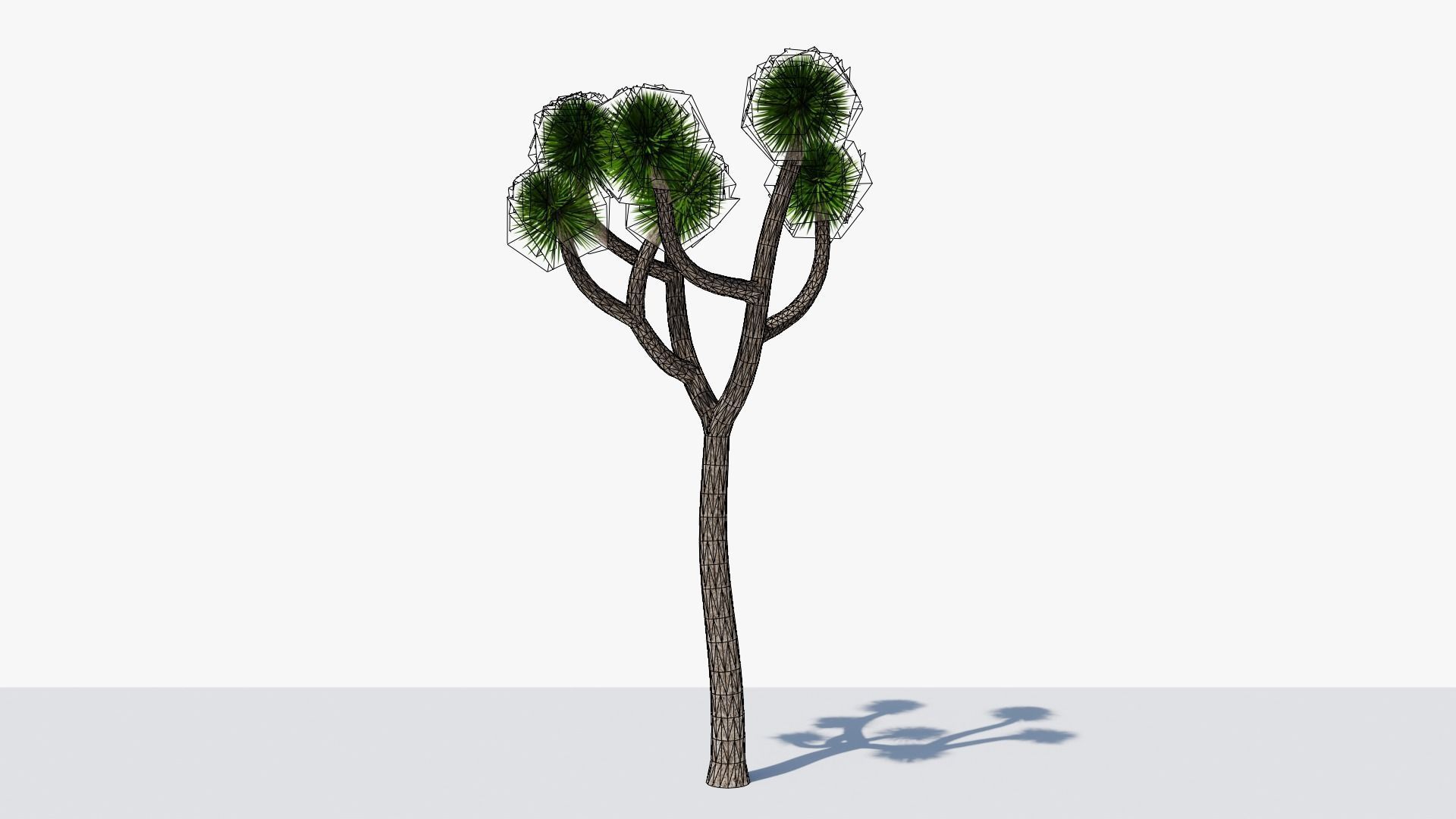 3D model Joshua Tree or Yucca Palm v3 VR / AR / low-poly | CGTrader