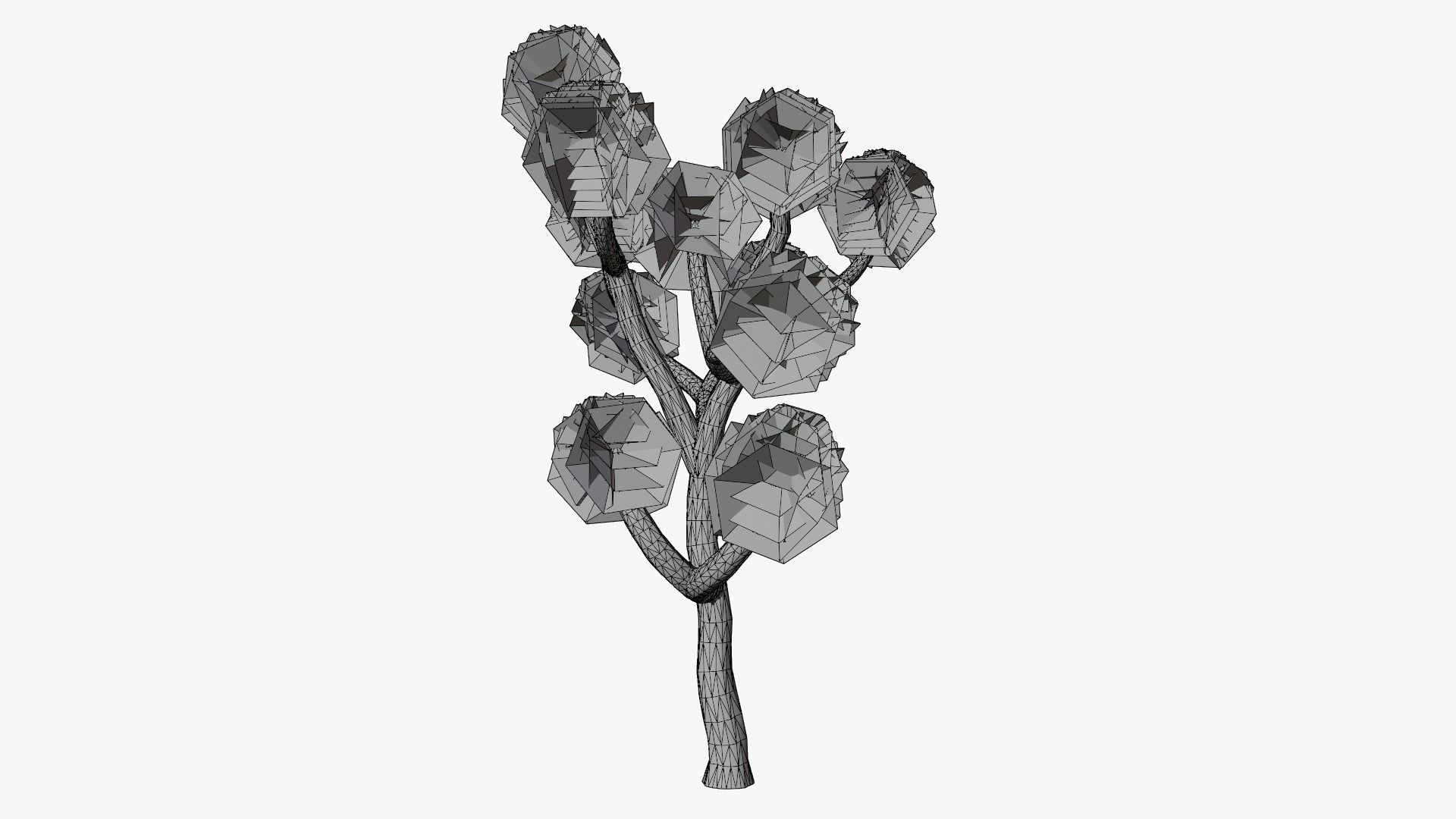 3D model Joshua Tree or Yucca Palm v4 VR / AR / low-poly | CGTrader