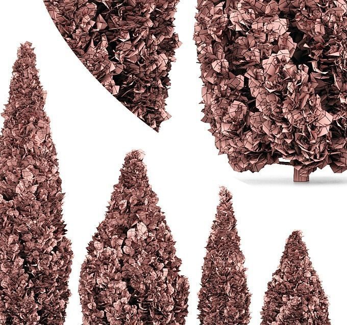 Juniperus scopulorum Juniperus chinensis Spartan Taylor Juniper 3D ...