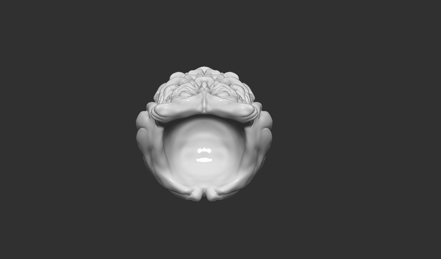 Oly the Owl pot 3D model 3D printable | CGTrader