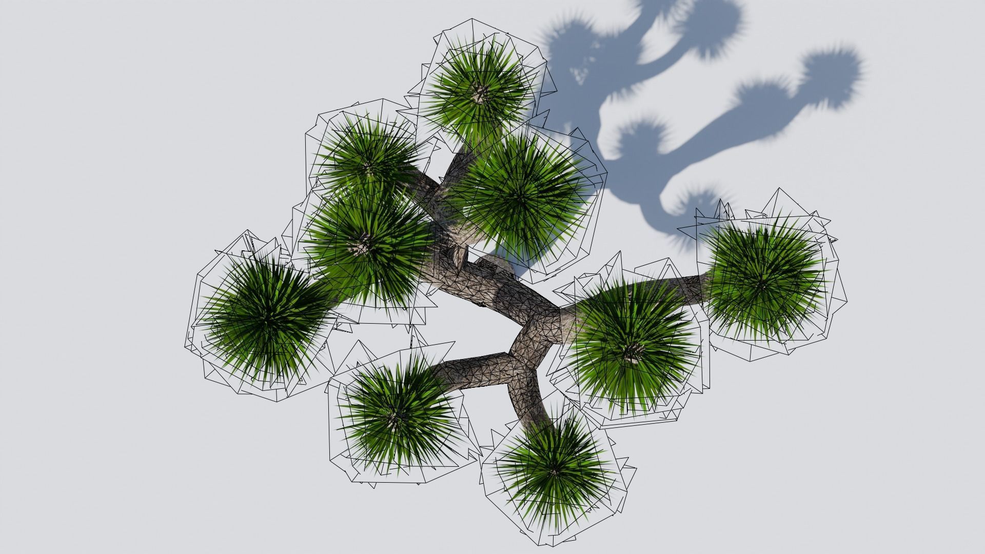 3D model Joshua Tree or Yucca Palm v10 VR / AR / low-poly | CGTrader