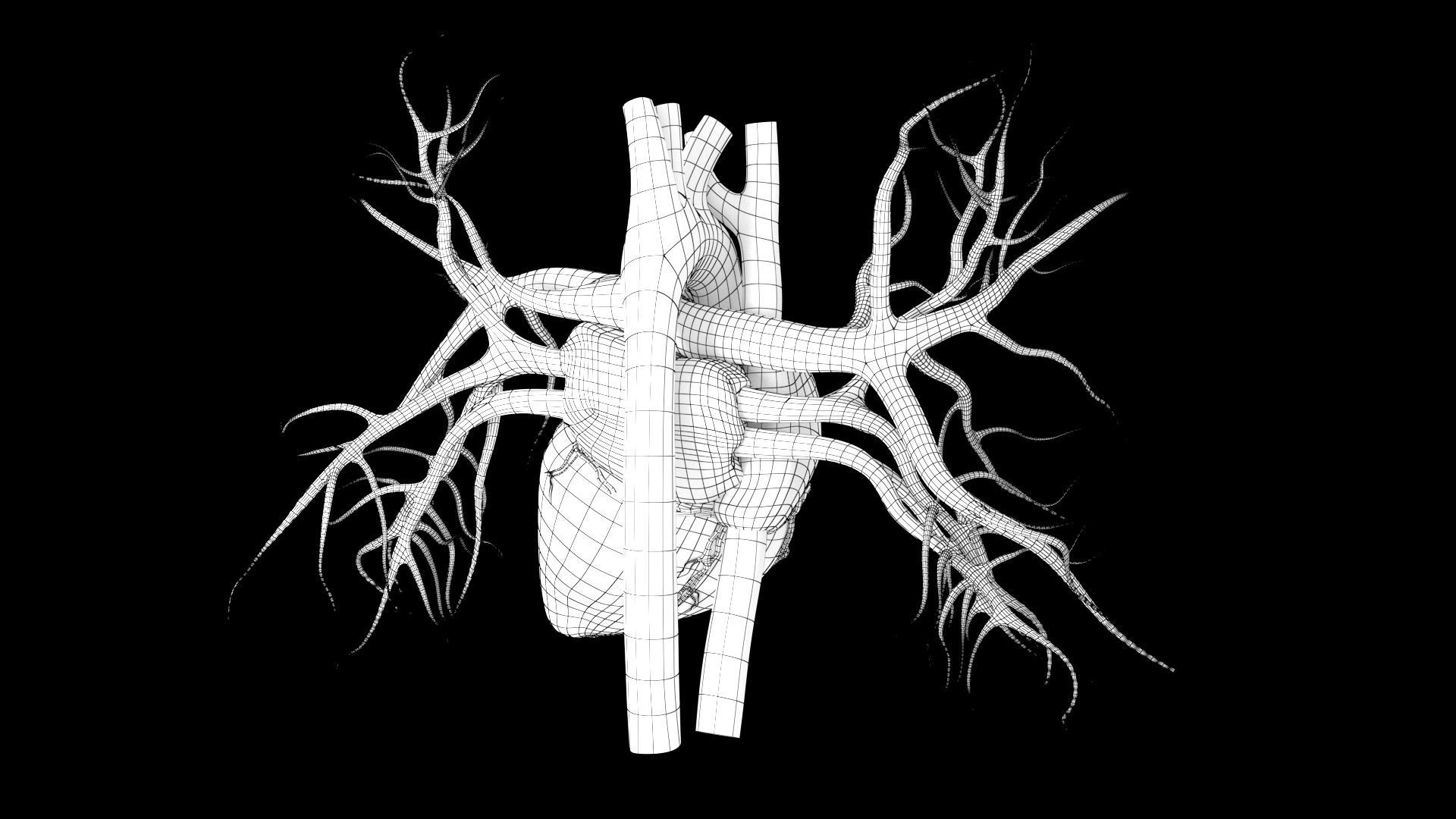 Human Heart Organ 3D model | CGTrader