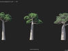 Maxtree Plant Models Vol 41 - Mesh 3D model | CGTrader