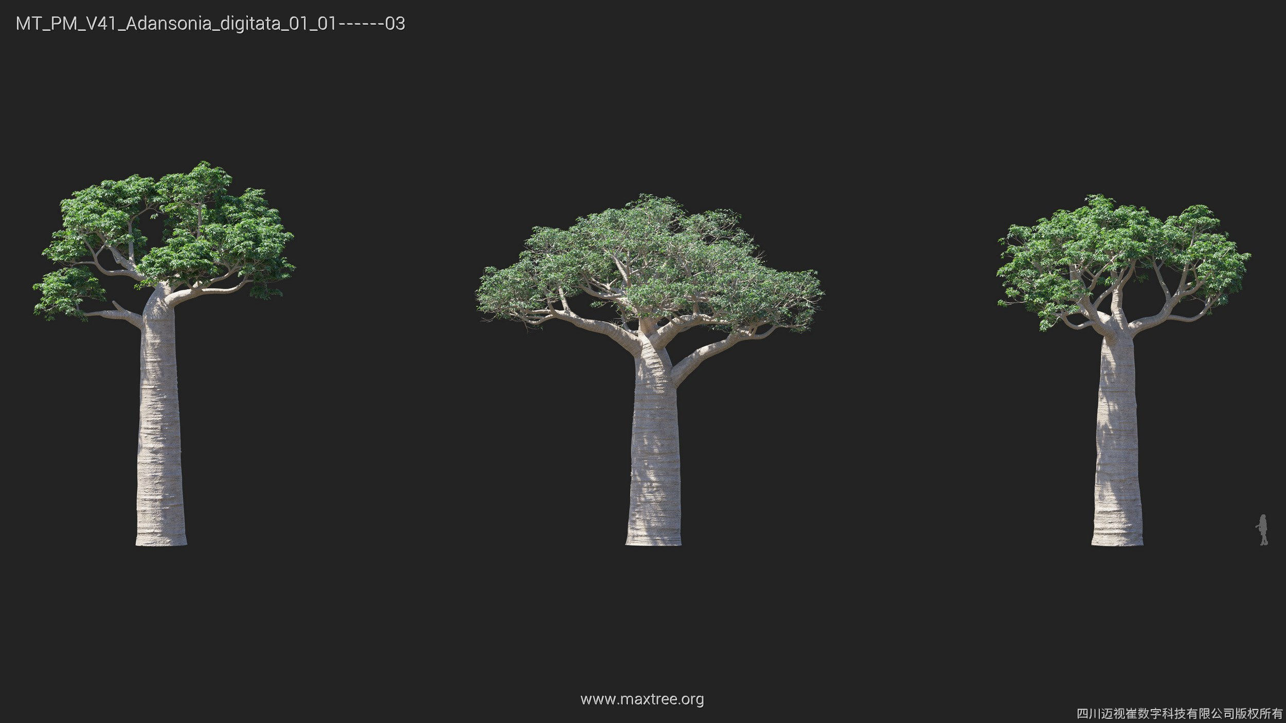 Maxtree Plant Models Vol 41 - Mesh 3D model | CGTrader