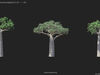 Maxtree Plant Models Vol 41 - Mesh 3D model | CGTrader