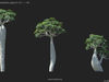 Maxtree Plant Models Vol 41 - Mesh 3D model | CGTrader