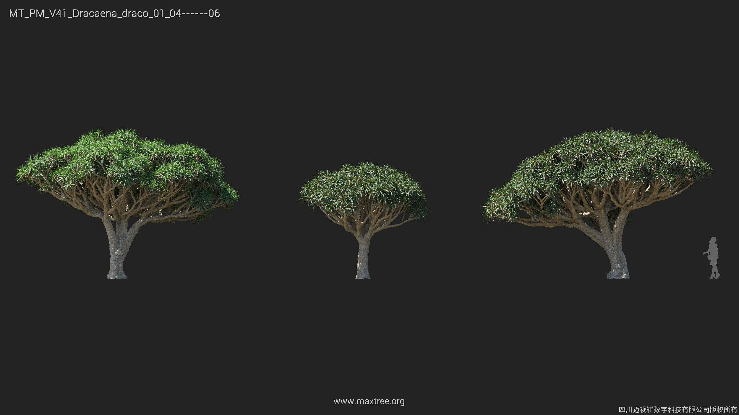 Maxtree Plant Models Vol 41 - Mesh 3D model | CGTrader