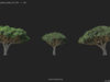 Maxtree Plant Models Vol 41 - Mesh 3D model | CGTrader