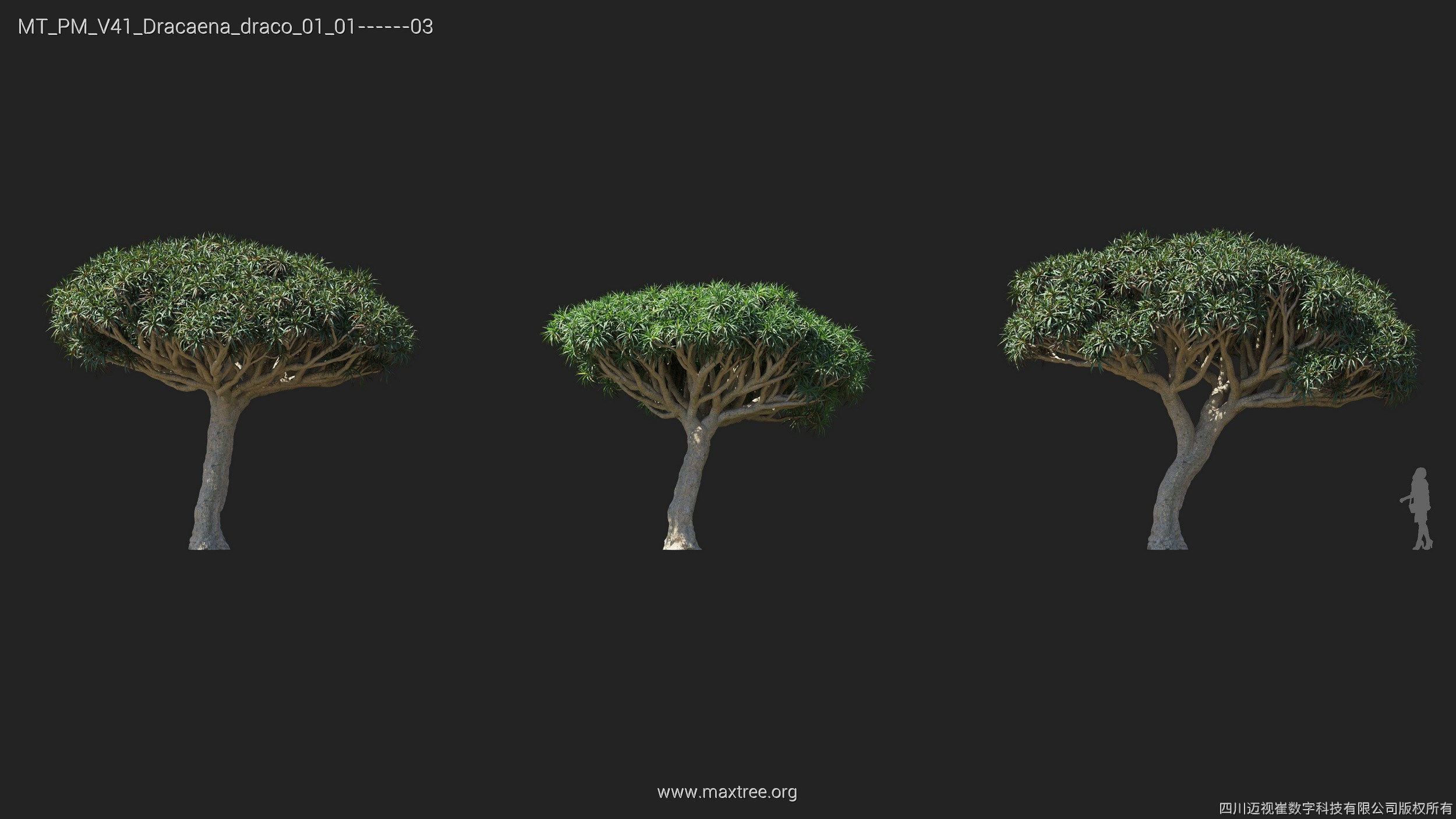 Maxtree Plant Models Vol 41 - Mesh 3D model | CGTrader