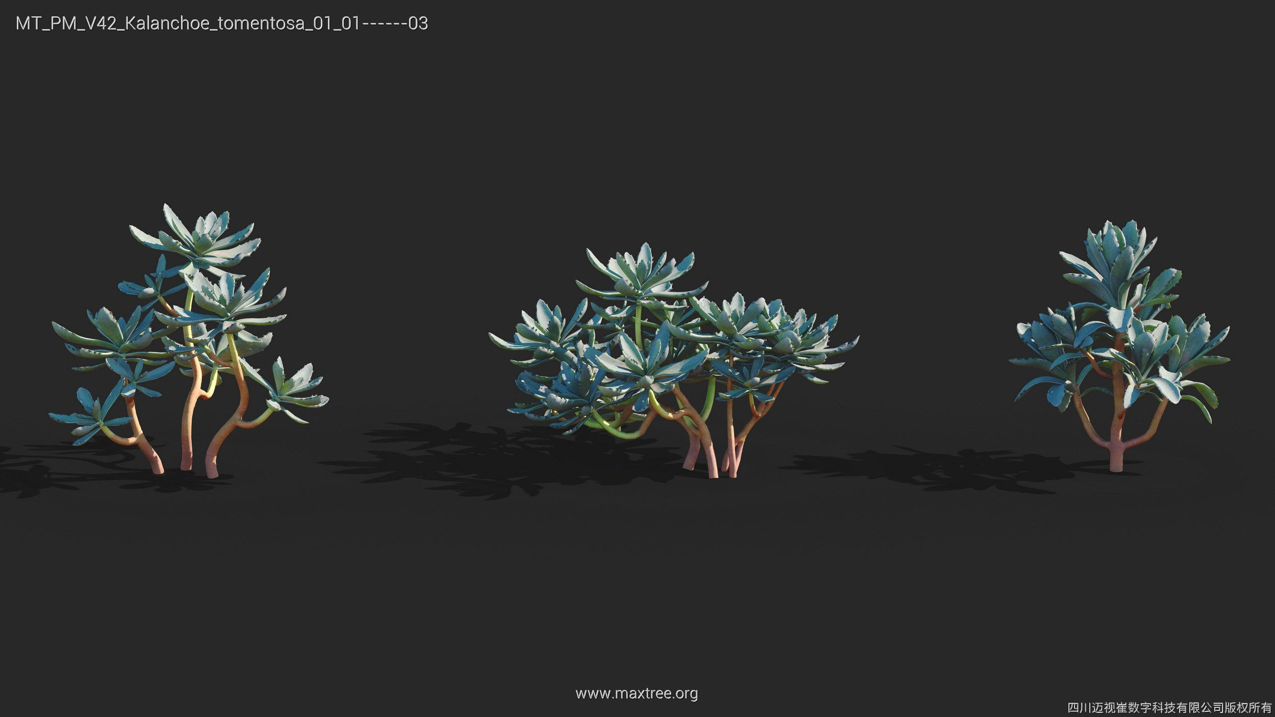 Maxtree Plant Models Vol 42 - Mesh 3D model | CGTrader