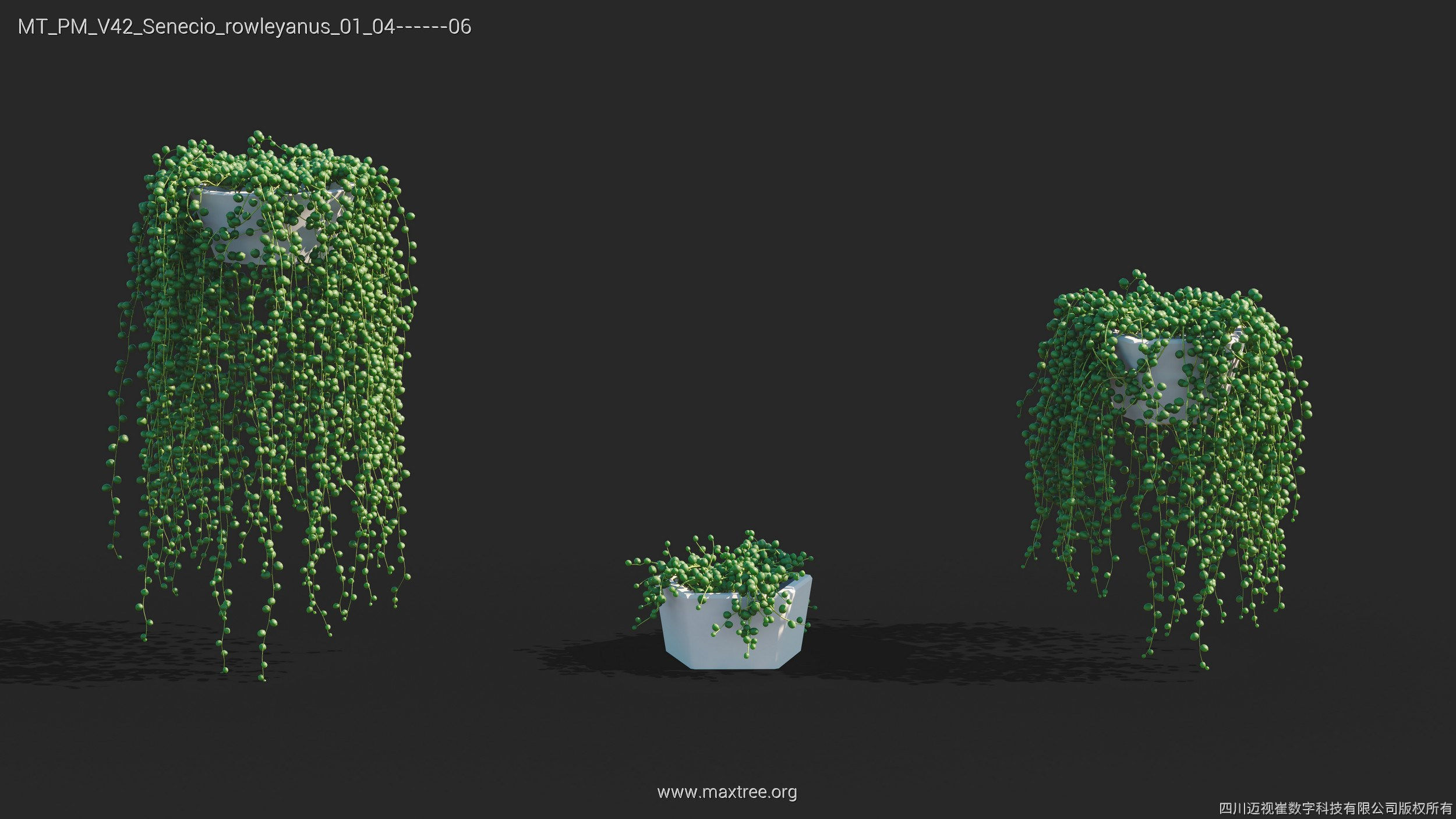 Maxtree Plant Models Vol 42 - Mesh 3D model | CGTrader