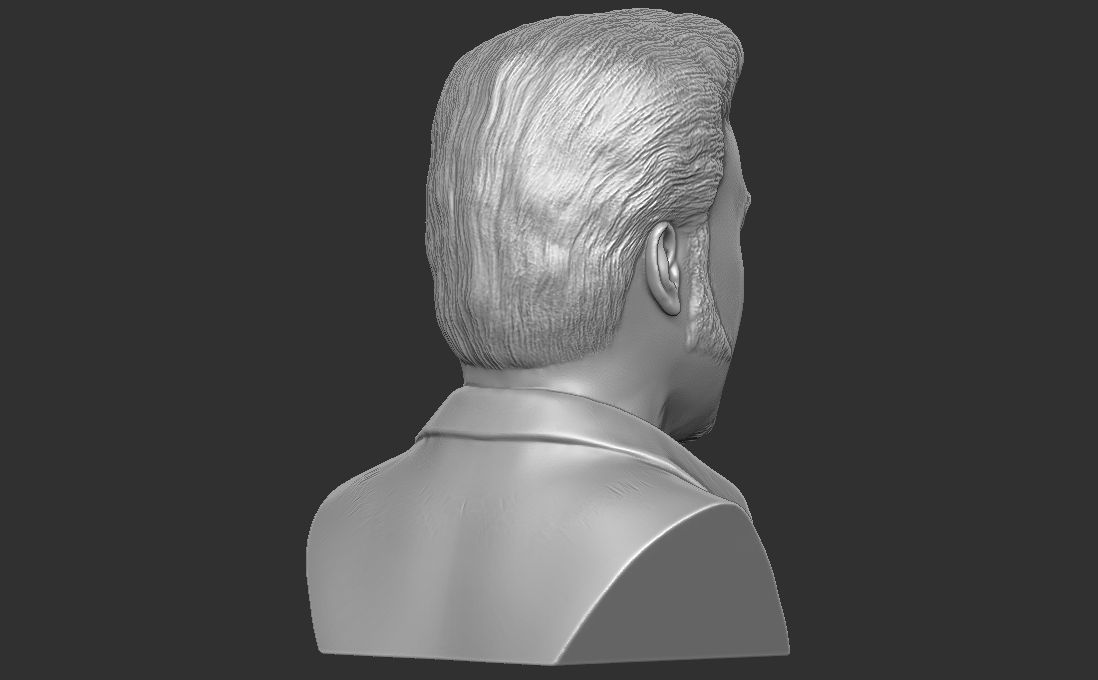 Ricky from Trailer Park Boys bust for 3D printing 3D model 3D printable ...