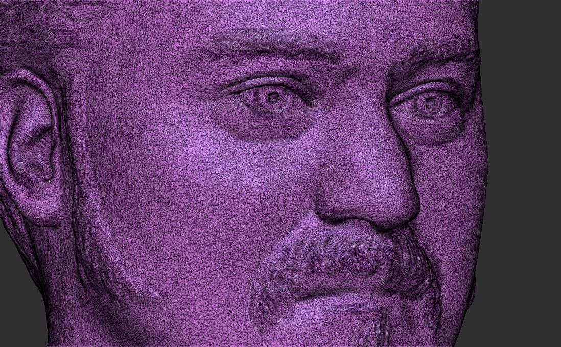 Ricky from Trailer Park Boys bust for 3D printing 3D model 3D printable ...