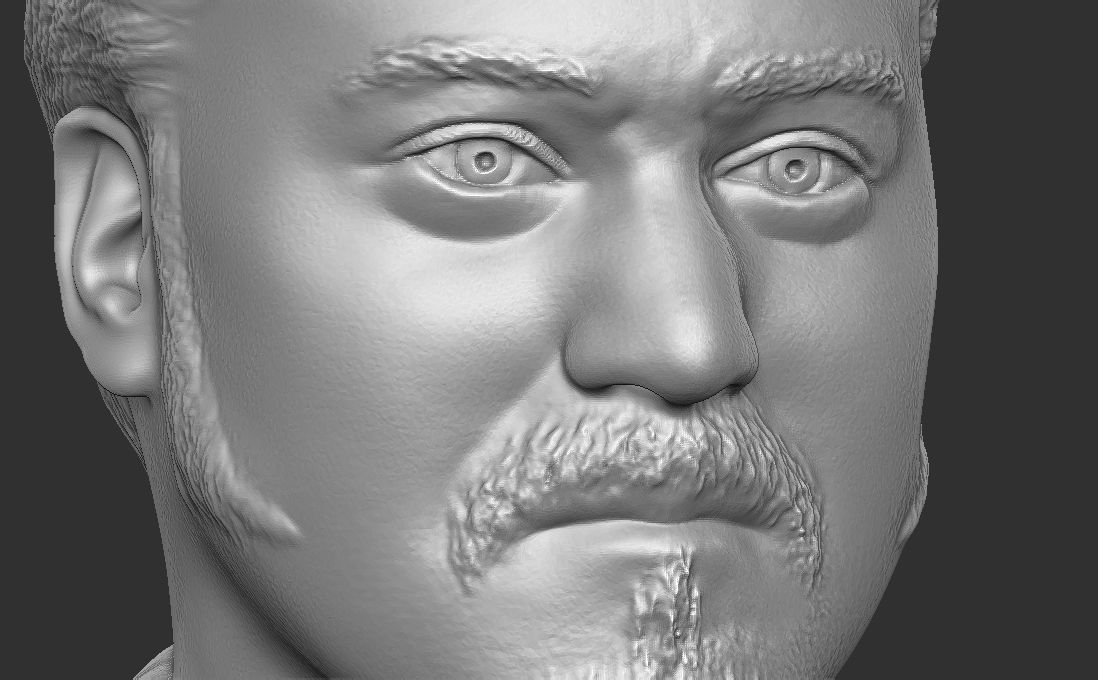 Ricky from Trailer Park Boys bust for 3D printing 3D model 3D printable ...