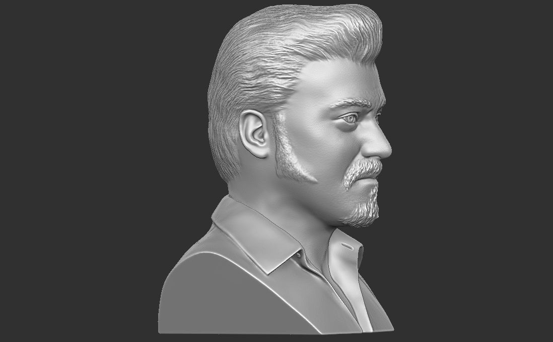 Ricky from Trailer Park Boys bust for 3D printing 3D model 3D printable ...