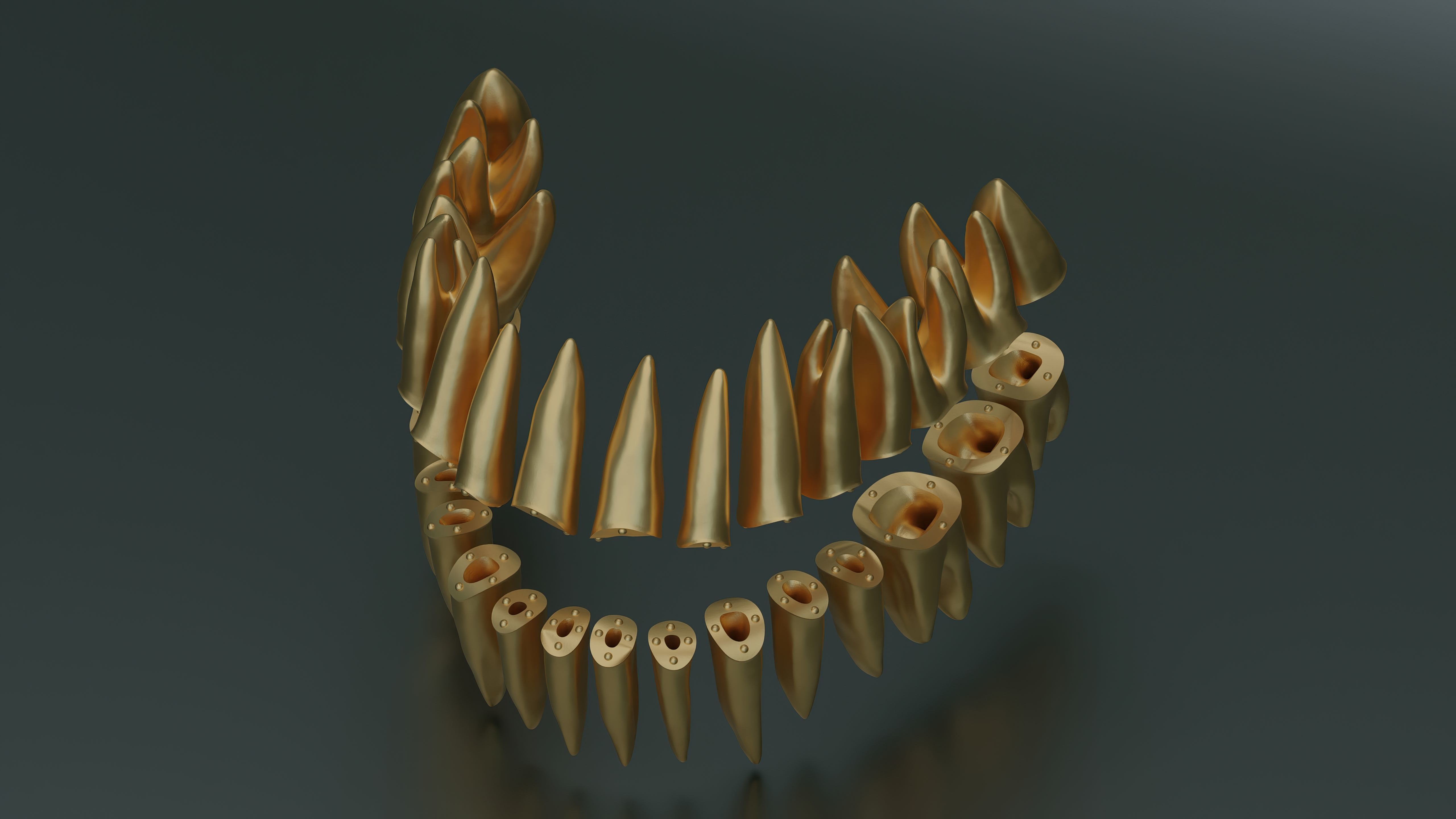Dental Anatomy and Root Structures 3D model 3D printable | CGTrader