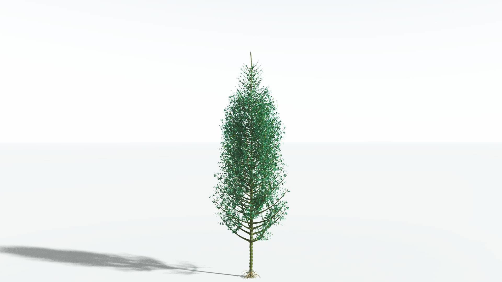 EVERYPlant Crucicalamites Horsetail Tree 3 --15 Models-- 3D model ...