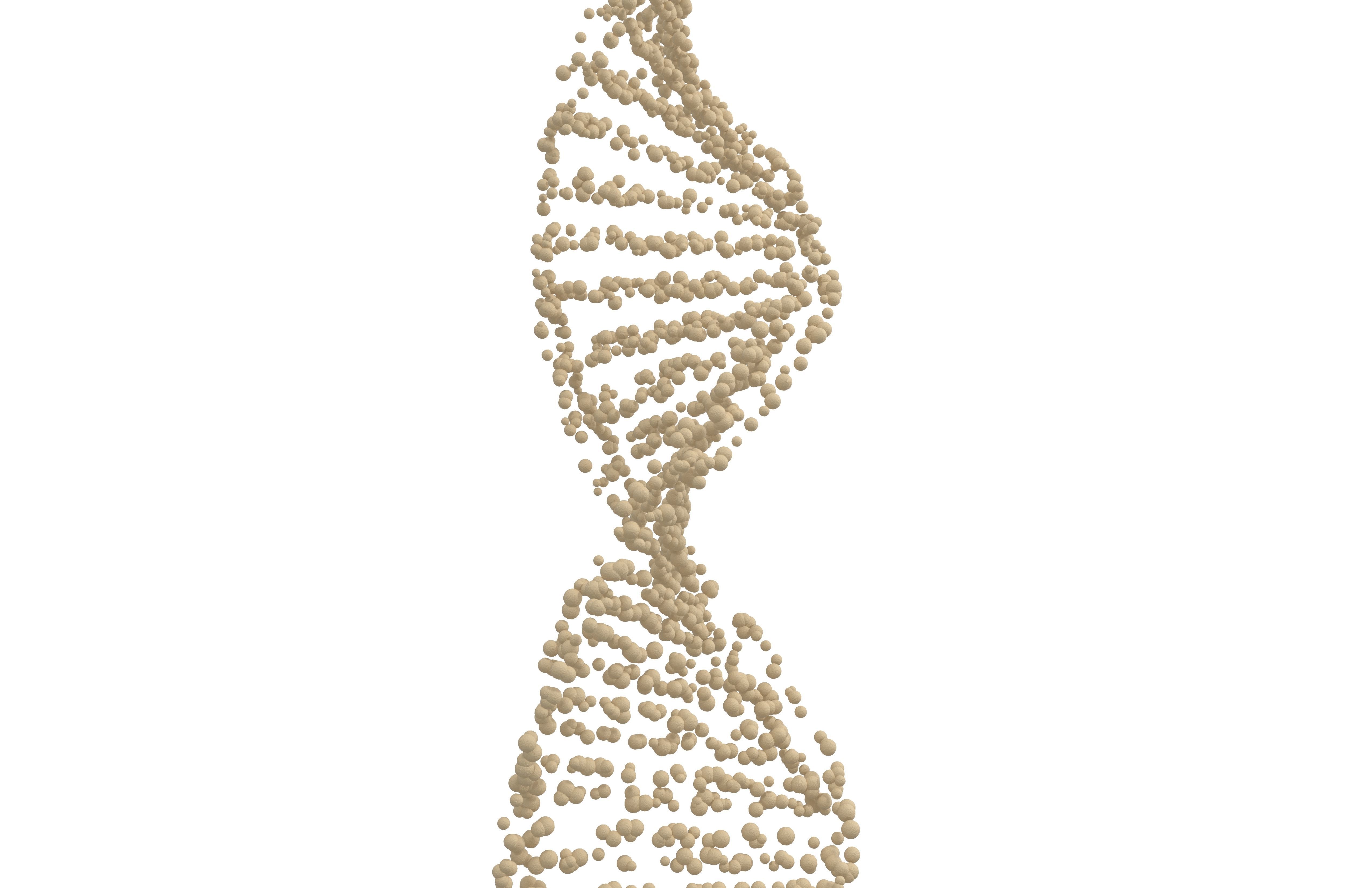 DNA Molecule v4 004 3D model | CGTrader