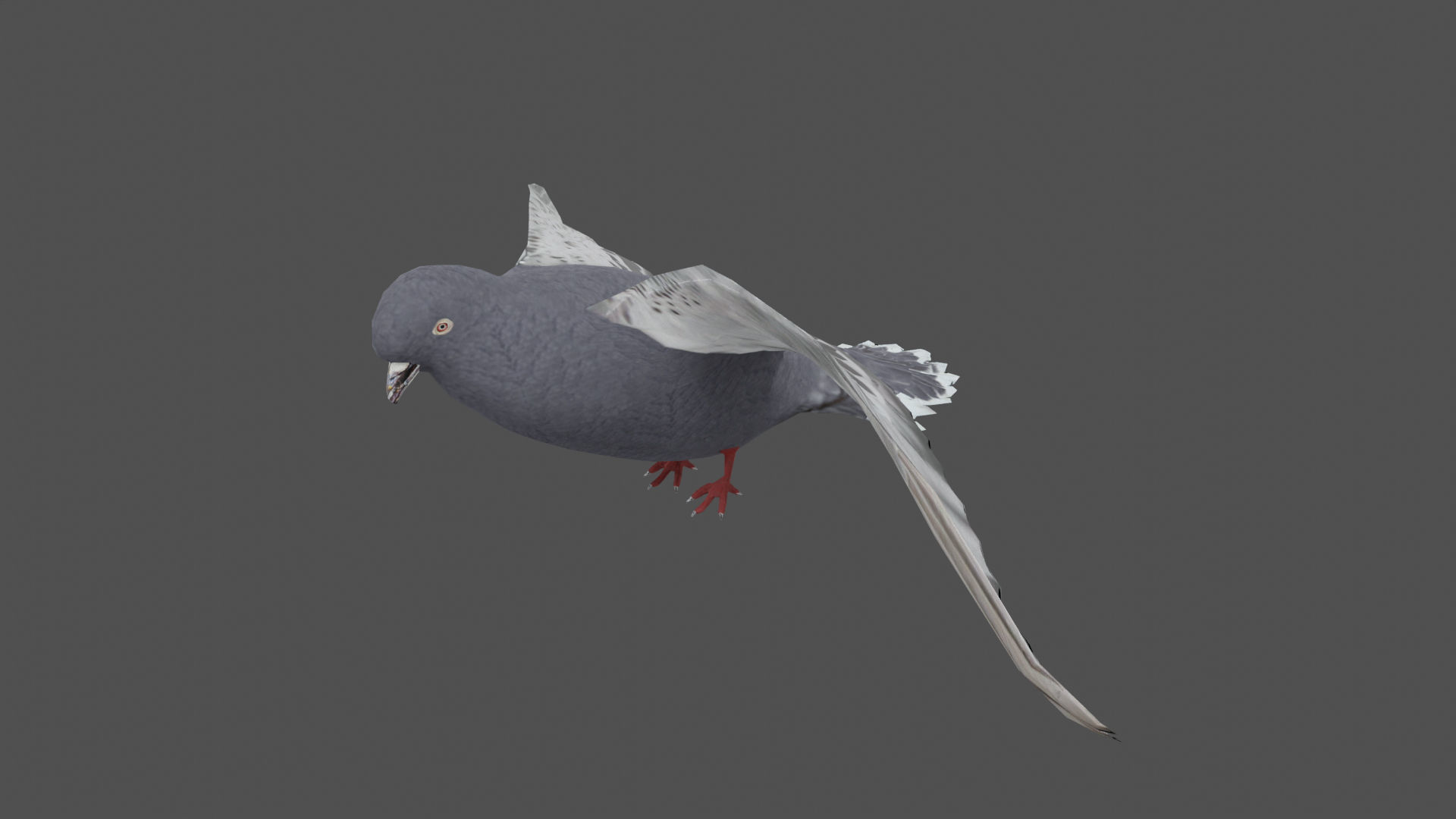 3D model Pigeon realistic PBR VR / AR / low-poly | CGTrader