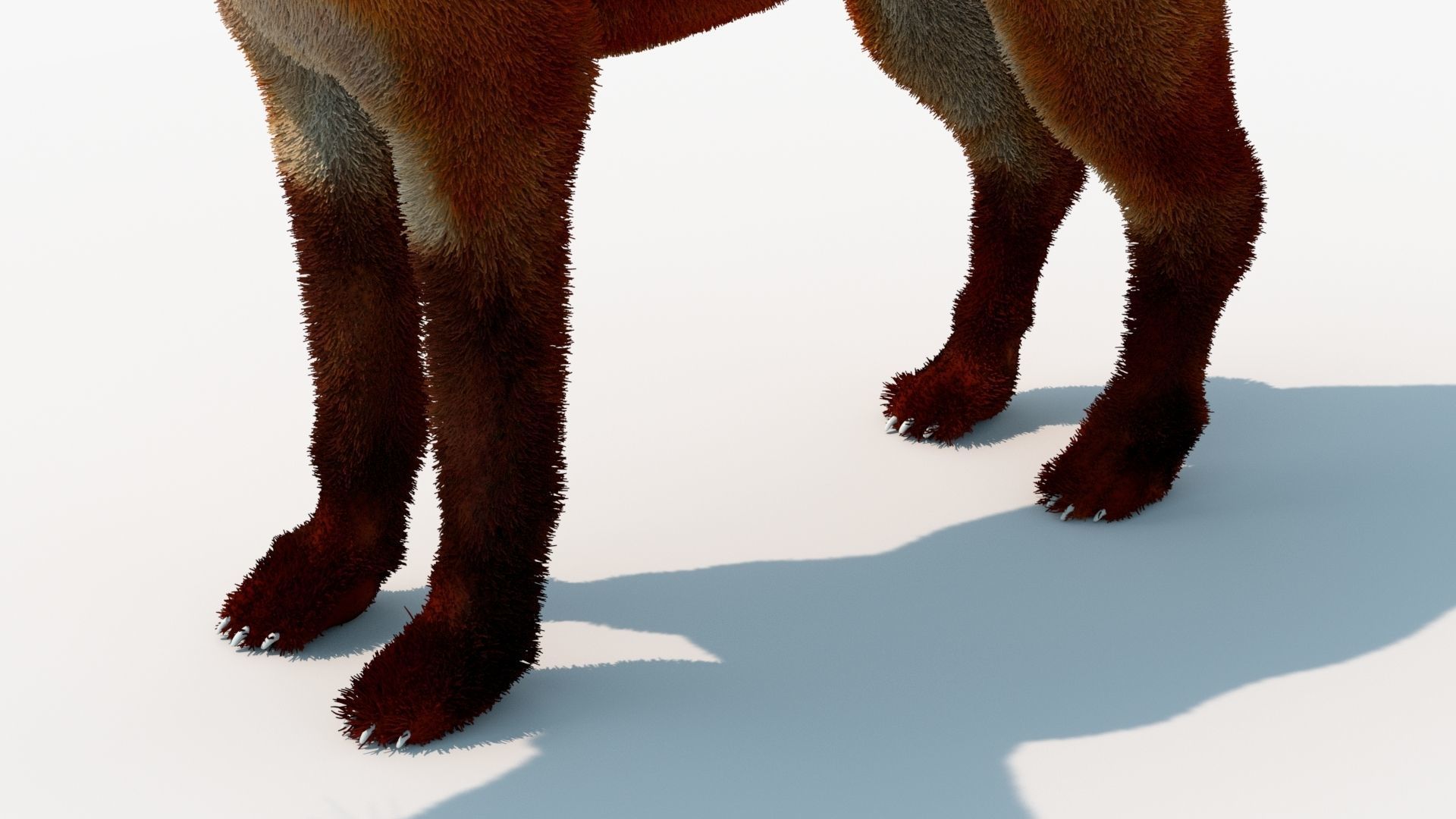 3D model MAYA XGEN FUR red fox VR / AR / low-poly | CGTrader