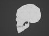 3D model Low Poly Human Skull VR / AR / low-poly | CGTrader
