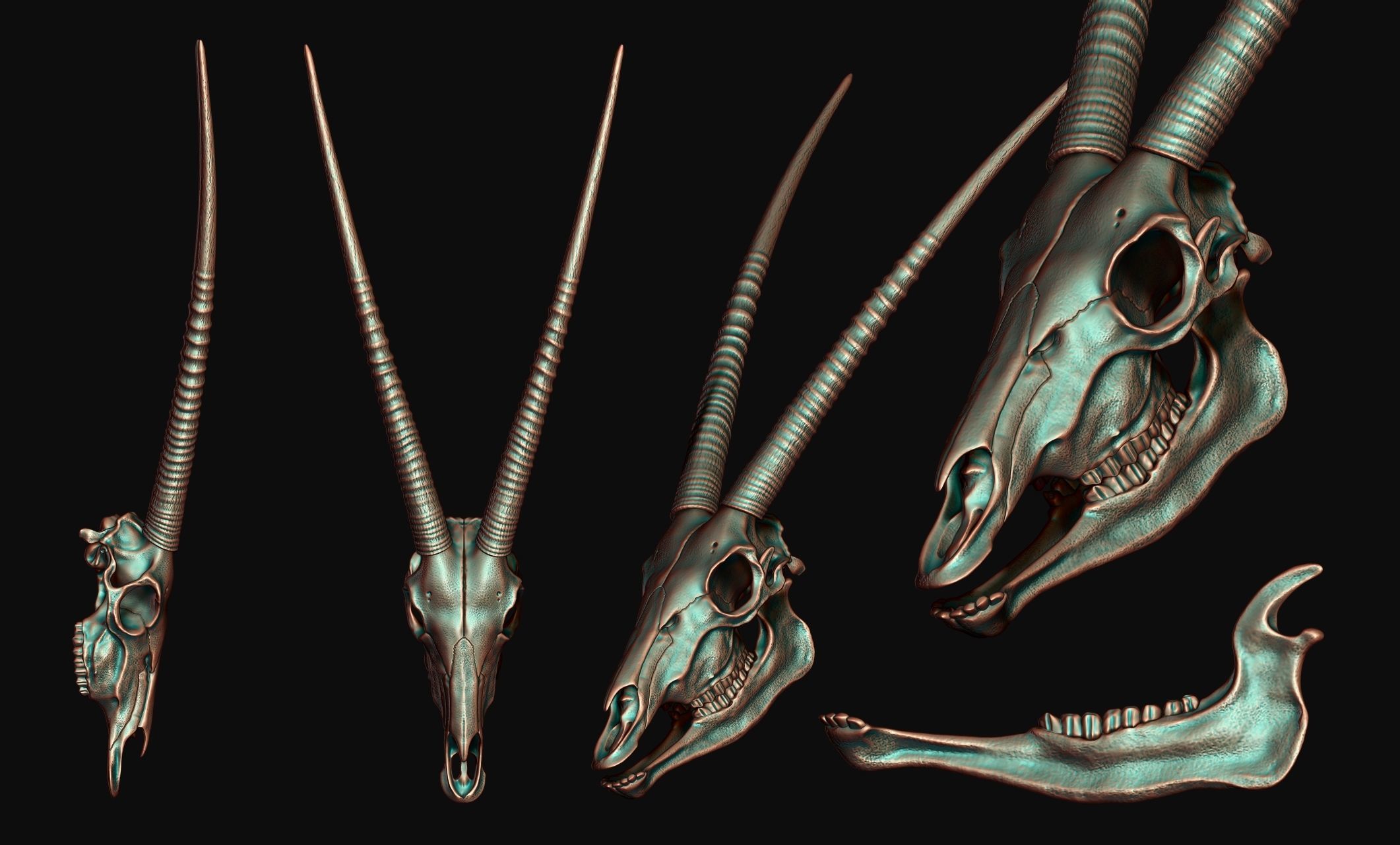 Oryx - Oryx gazella Skull 3D model 3D printable | CGTrader